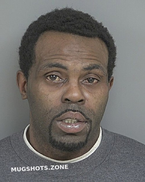 COLLINS TERRANCE SYDNEY 01/20/2024 - Dubuque County Mugshots Zone