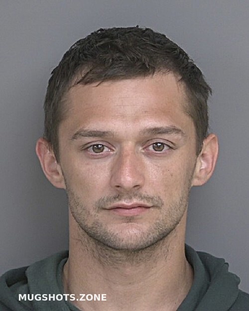 WALLACE DEVIN LEE 05/20/2024 - Dubuque County Mugshots Zone