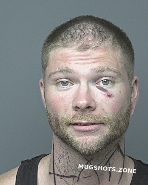 THIBADEAU BRANDON SCOTT 06/06/2024 - Dubuque County Mugshots Zone