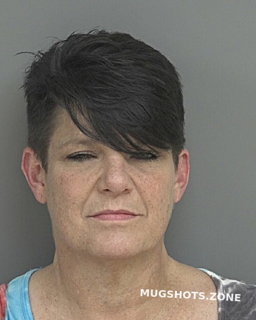 BRANDT-EVILSIZER TEEYA MARIE 07/17/2024 - Dubuque County Mugshots Zone