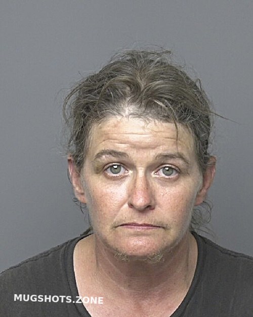 SCHULTZ JANE RAE 07/17/2024 - Dubuque County Mugshots Zone