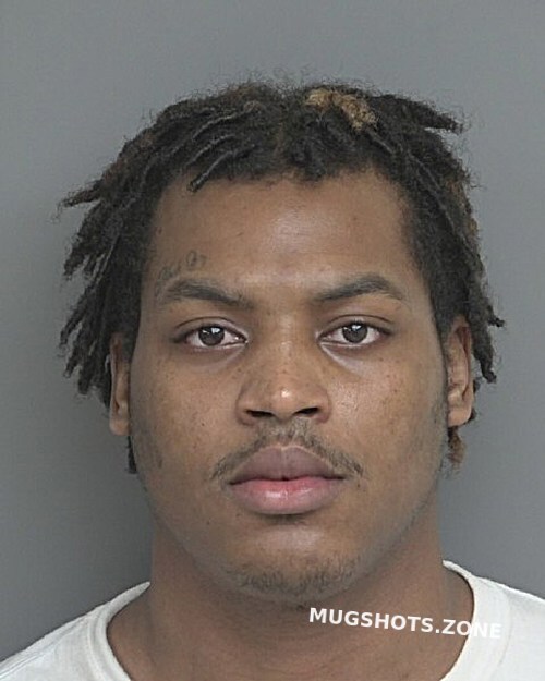 PRUITT LEVON TERVELL 07/18/2024 - Dubuque County Mugshots Zone