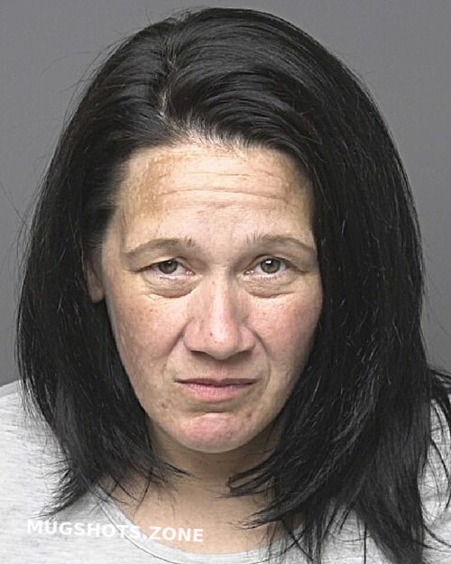 HENSE AMANDA HELEN 08/06/2024 - Dubuque County Mugshots Zone