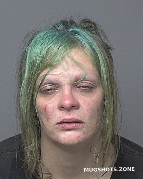 DORR JESSICA LYNN 10/08/2024 - Dubuque County Mugshots Zone
