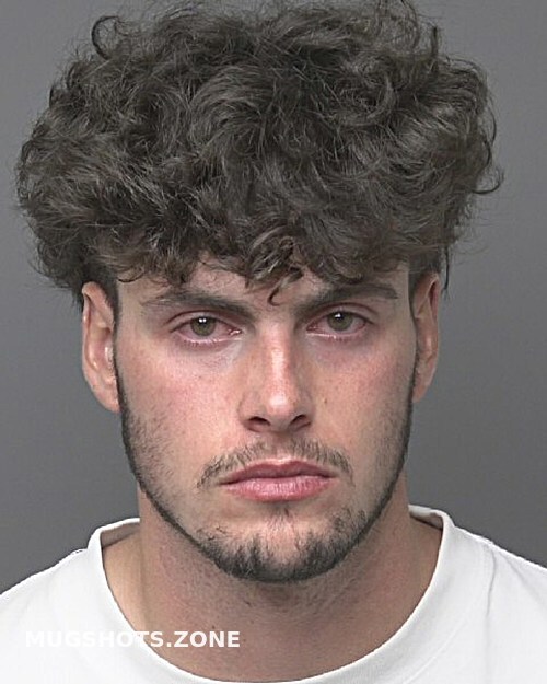 SCHMAL BRANDON ETHAN 10/17/2024 - Dubuque County Mugshots Zone