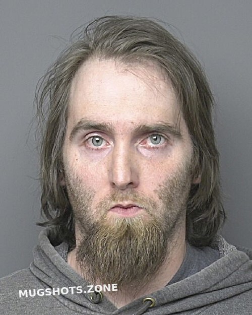 MELLON DYLAN DOUGLAS 11/21/2024 - Dubuque County Mugshots Zone