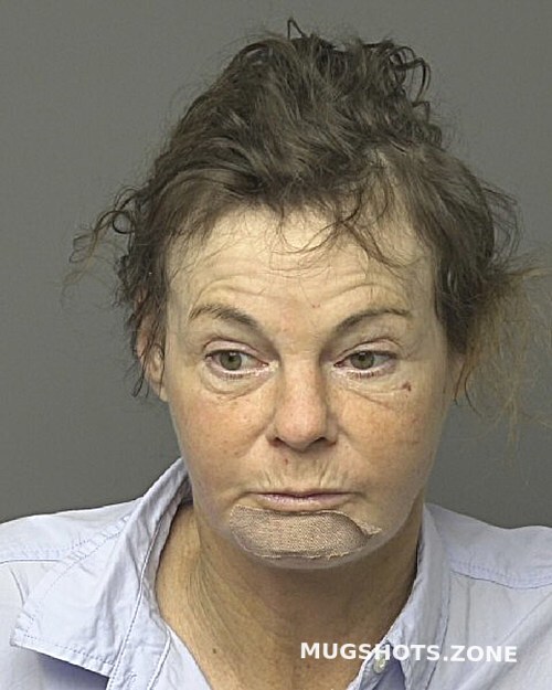 OESTREICH MELISSA SUE 11/28/2024 - Dubuque County Mugshots Zone