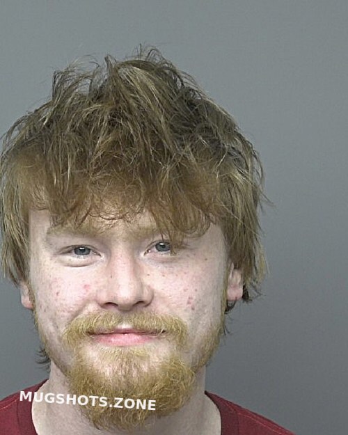 ACKERMAN CAMERON JAMES 12/20/2024 - Dubuque County Mugshots Zone