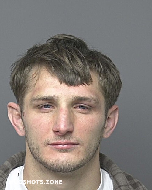 MURPHY DEVIN MICHAEL LUIS 01/04/2025 - Dubuque County Mugshots Zone