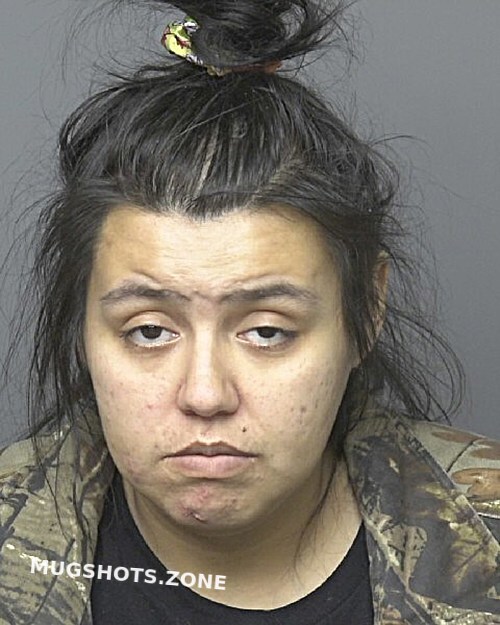 GONZALEZ ISABEL ANN 01/07/2025 - Dubuque County Mugshots Zone