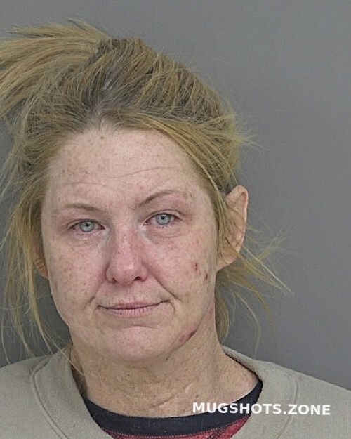 WEBER NICHOLE ANNE 01/13/2025 - Dubuque County Mugshots Zone