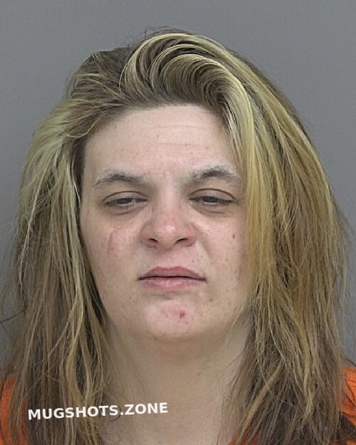 DORR JESSICA LYNN 01/18/2025 - Dubuque County Mugshots Zone