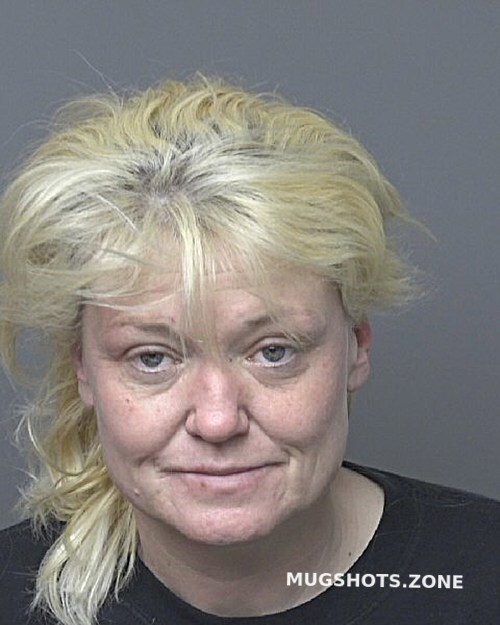 GRIFFIN SHERRY ANN 02/14/2025 - Dubuque County Mugshots Zone