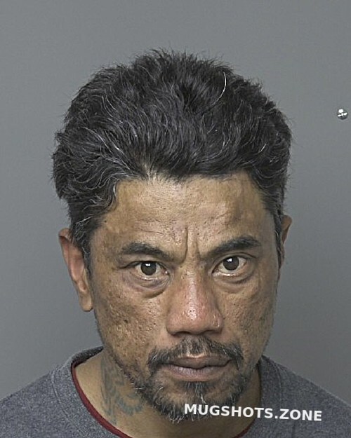 SAMSON HAMILTON 04/13/2025 - Dubuque County Mugshots Zone