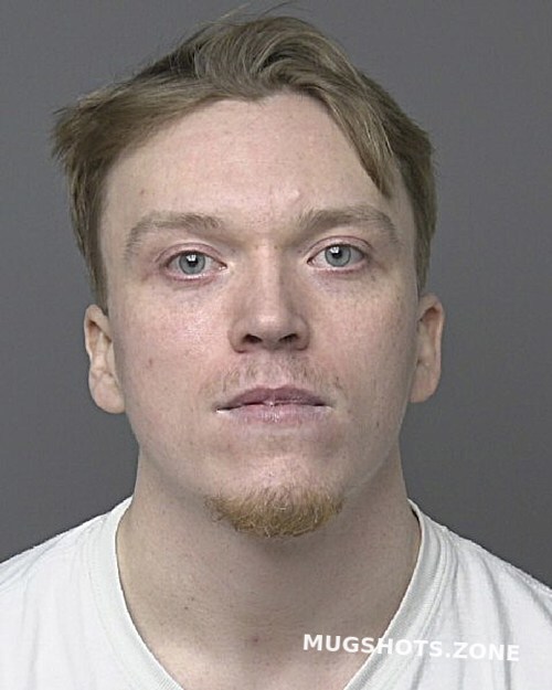 PFAB DYLAN ANDREW 04/20/2025 - Dubuque County Mugshots Zone