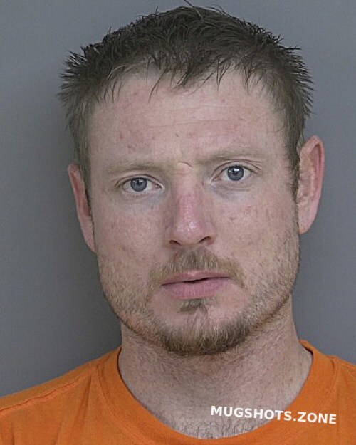 DOLPHIN KYLE JOSEPH 06/17/2025 - Dubuque County Mugshots Zone