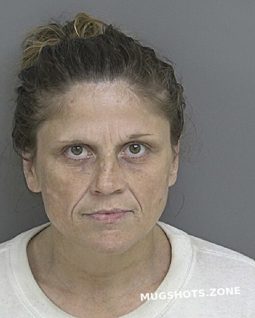 BURGESS BRANDI MICHELLE 06/24/2025 - Dubuque County Mugshots Zone