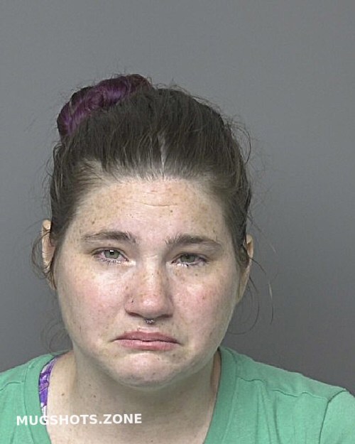 PAAR HEATHER JANE 06/28/2025 - Dubuque County Mugshots Zone