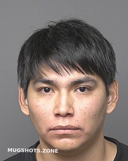 NEZTSOSIE ERIC COLE 10/19/2025 - Dubuque County Mugshots Zone
