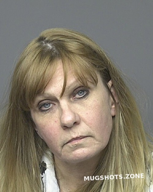 ERICKSON DIANNA KAYE 02/14/2026 - Dubuque County Mugshots Zone