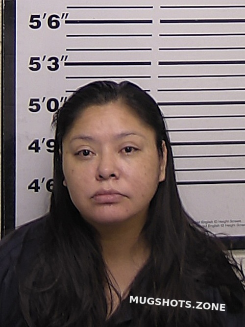 CATRON JESSICA ANN 02/18/2022 - Eddy County Mugshots Zone