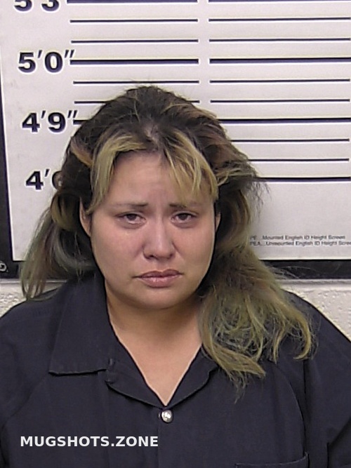 LERMA JENNIFER NIOMI 11/01/2022 - Eddy County Mugshots Zone
