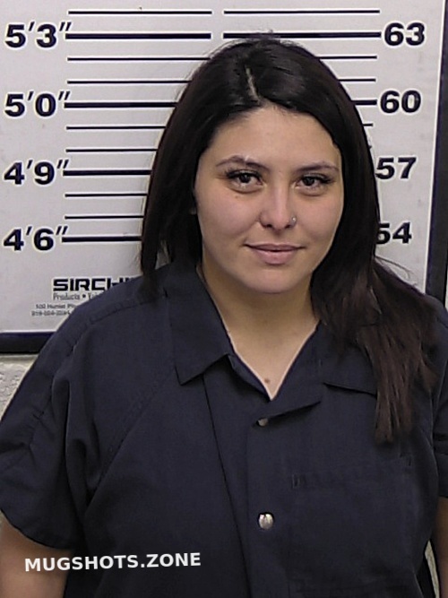 CALDERON-ELIZONDO BRITTANY LEEAN 11/20/2022 - Eddy County Mugshots Zone