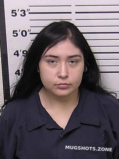 RAMIREZ SHYANNE CHANEL 04/02/2023 - Eddy County Mugshots Zone