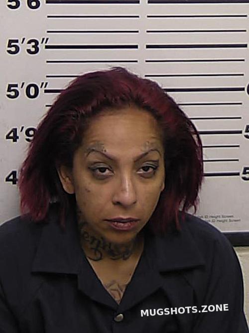 QUIROGA EVA MENDOZA 04/23/2023 - Eddy County Mugshots Zone