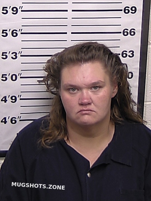 HOLCOMB CANDICE L 10/24/2023 - Eddy County Mugshots Zone