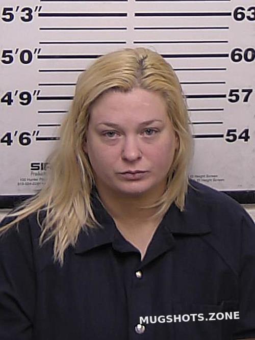 COOK BRIDGETTE NICOLE 02/18/2024 - Eddy County Mugshots Zone