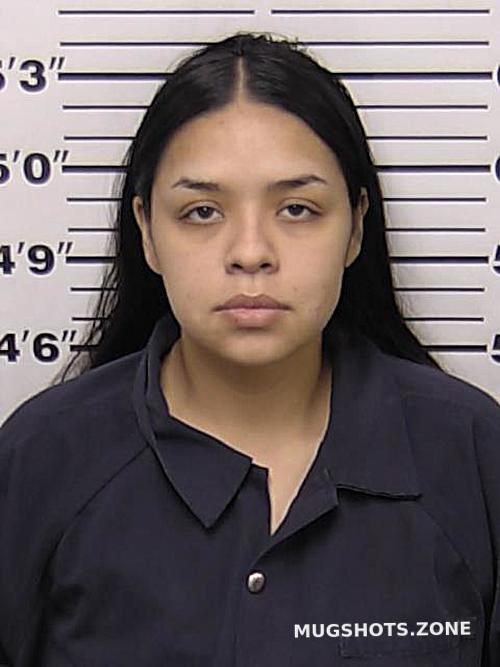 BUSTAMANTE VICTORIA JASLENE 04/19/2024 - Eddy County Mugshots Zone