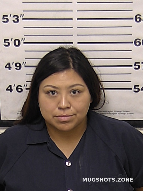 ASHLEY ALYSSA RENEE 04/25/2024 - Eddy County Mugshots Zone