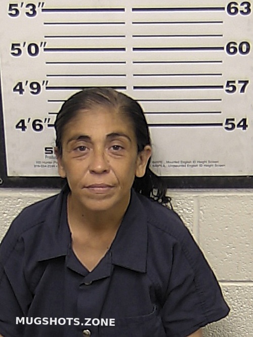 BONILLA LETICIA ANN 04/30/2024 - Eddy County Mugshots Zone