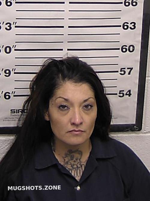OLGUIN ERICA NICOLE 06/21/2024 - Eddy County Mugshots Zone