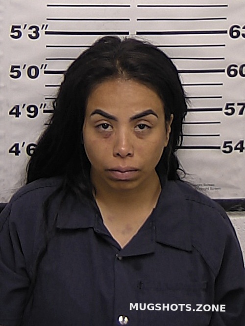 SARINANA-VASQUEZ PERLA JANET 06/29/2024 - Eddy County Mugshots Zone
