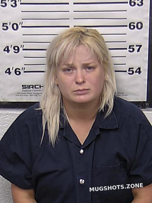 COOK BRIDGETTE NICOLE 08/04/2024 - Eddy County Mugshots Zone