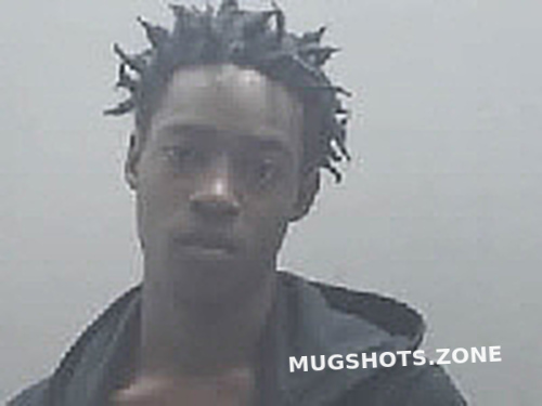JOHNQUAVIUS MCKINNEY DICKENS 03/21/2025 - Edgecombe County Mugshots Zone