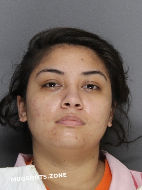 GOMEZ AMANDA 01/04/2021 - Ellis County Mugshots Zone
