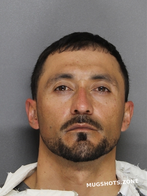 FLORES JOSE LUIS 01/22/2021 - Ellis County Mugshots Zone