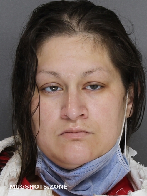 TORRES CASANDRA LYNNE 02/02/2021 - Ellis County Mugshots Zone