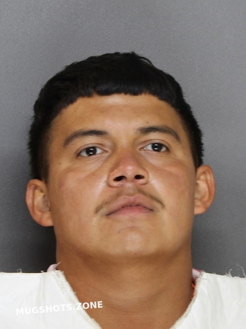 RAMIREZ CHRISTIAN GEOVANNY FUENTES 02/06/2021 - Ellis County Mugshots Zone