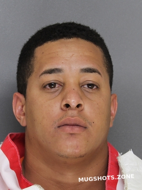 MUSTELIER ALEXANDER LEON 02/08/2021 - Ellis County Mugshots Zone