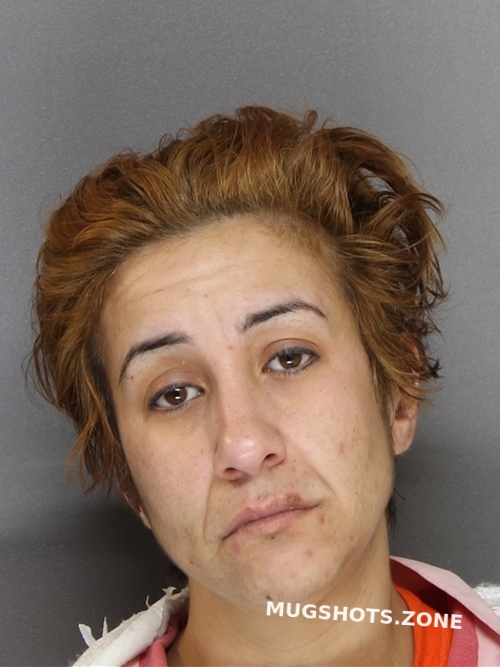 RIOS JESSICA RENEE 02/26/2021 - Ellis County Mugshots Zone