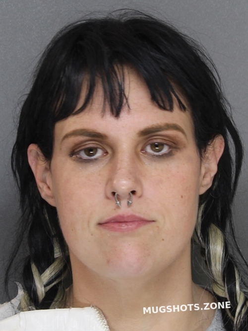 MANTON JESSICA LE ANN 03/26/2021 - Ellis County Mugshots Zone