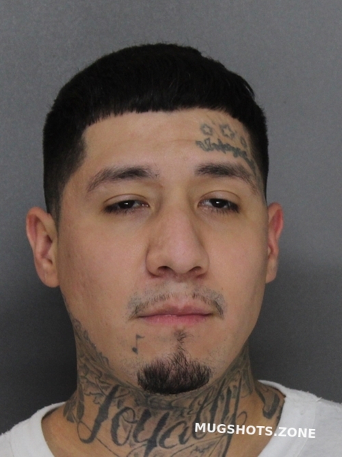 ROCHA JOSE ISABEL 04/16/2021 - Ellis County Mugshots Zone