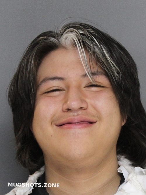 RIOS ALFREDO 04/19/2021 - Ellis County Mugshots Zone