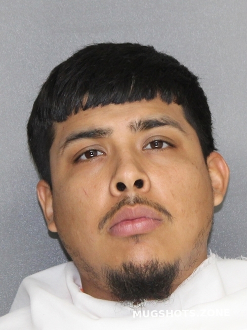 OVALLE GABRIEL 05/14/2021 - Ellis County Mugshots Zone