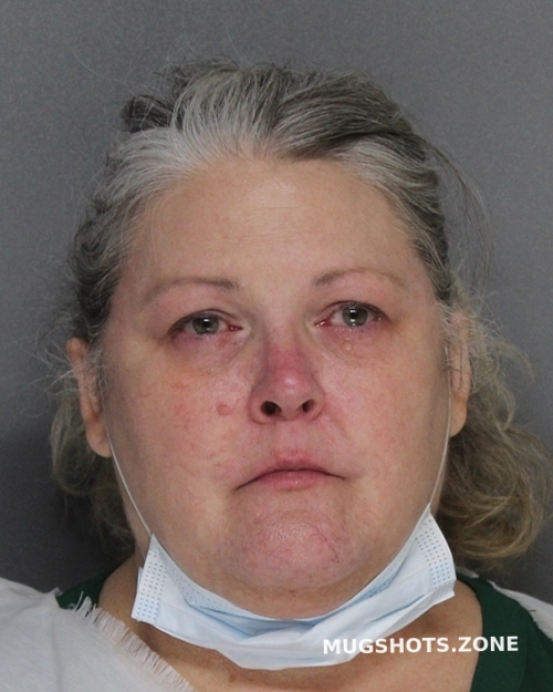 HOLLON DENA MARIE 06/11/2021 - Ellis County Mugshots Zone