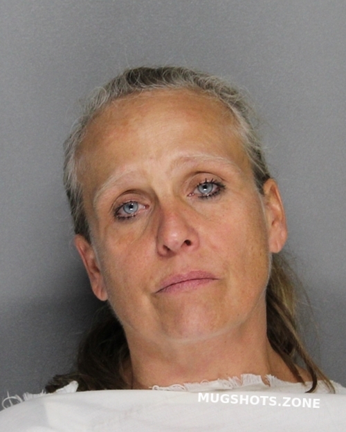 GILLISPIE LISA RENEE 07/24/2021 - Ellis County Mugshots Zone